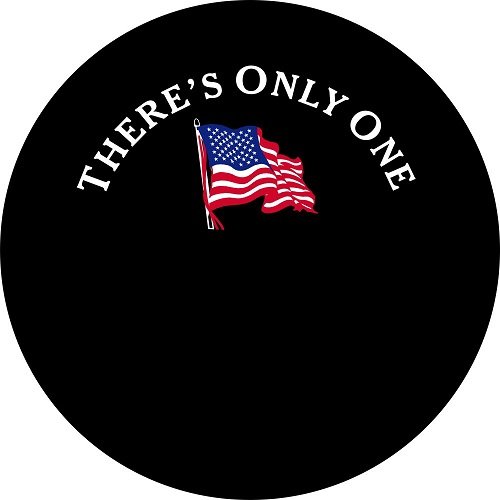 There's Only One Flag Tire Cover